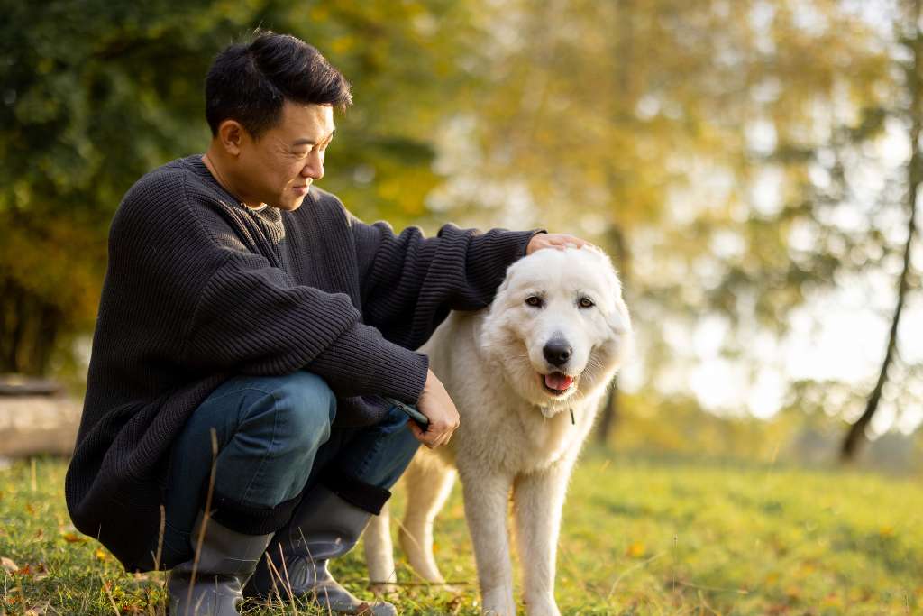 10 Responsibilities of Pet Ownership - Good Dog People™