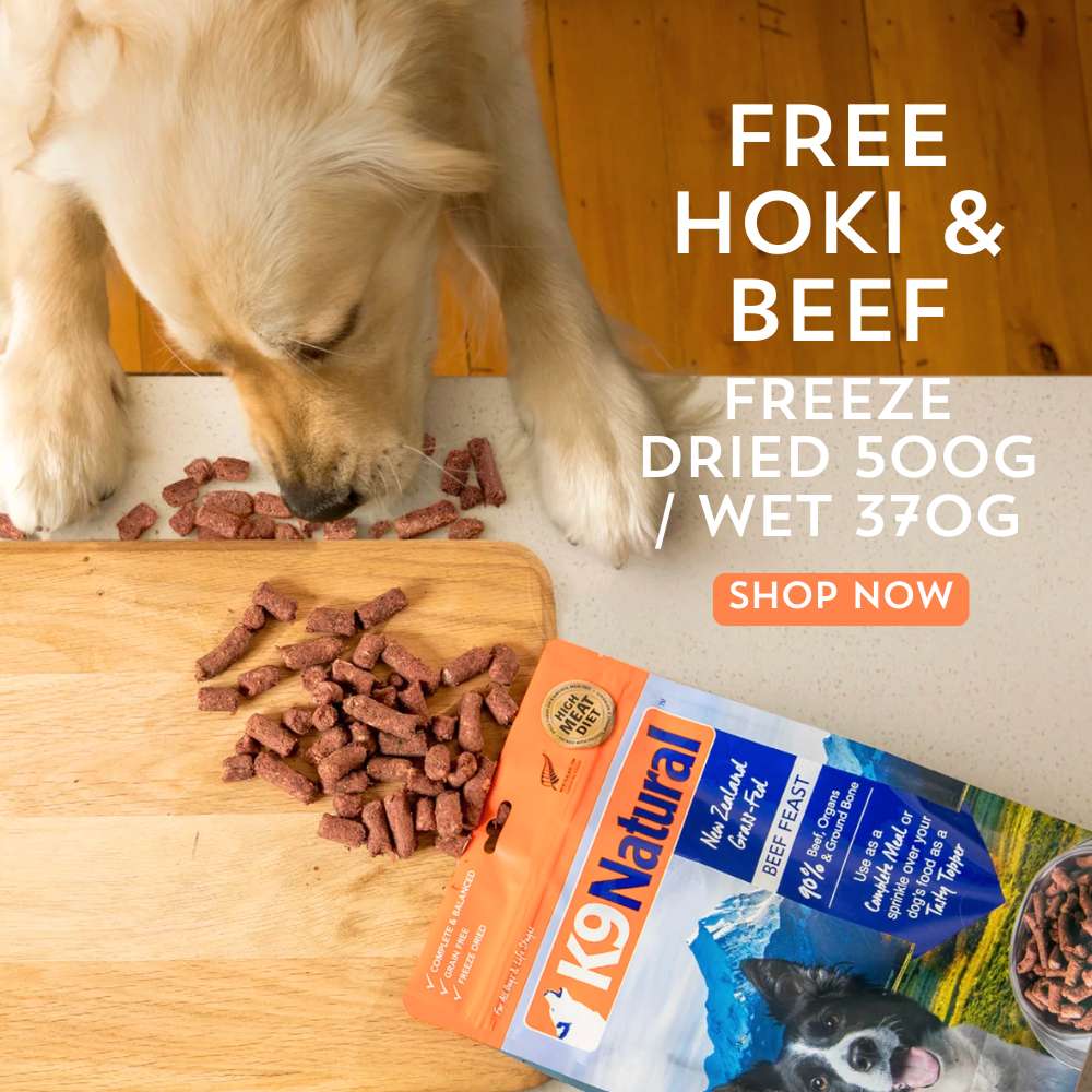 Singapore's Best Online Pet Shop | Dog Store Online | Good Dog People