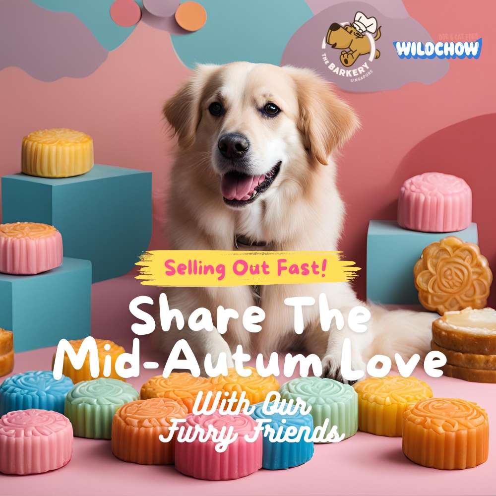 Singapore's Best Online Pet Shop | Dog Store Online | Good Dog People