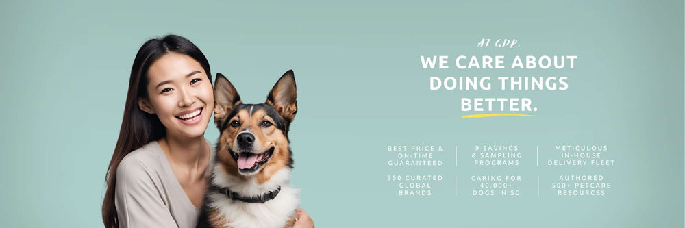 Singapore's Best Online Pet Shop | Dog Store Online | Good Dog People