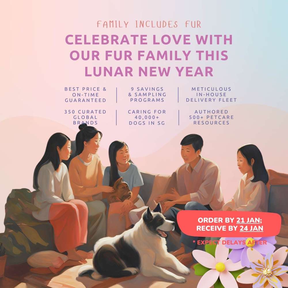 Singapore's Best Online Pet Shop | Dog Store Online | Good Dog People