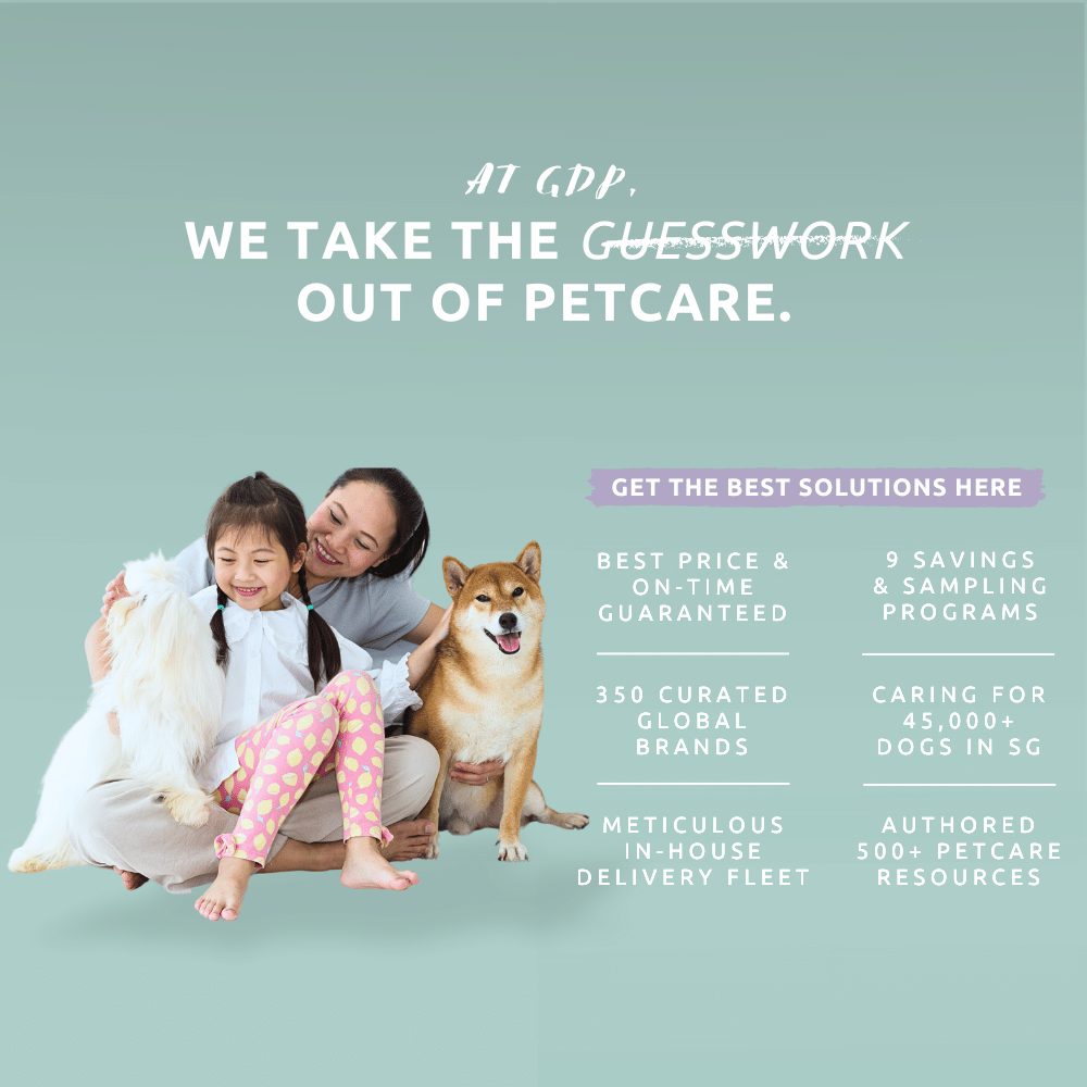 Singapore's Best Online Pet Shop | Dog Store Online | Good Dog People