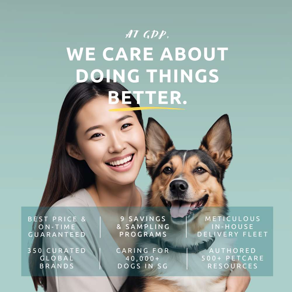 Singapore's Best Online Pet Shop | Dog Store Online | Good Dog People