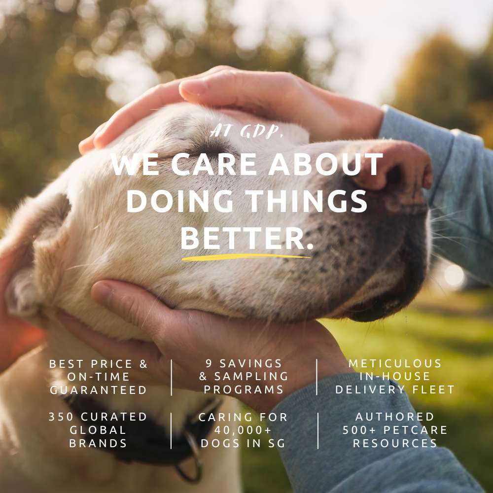 Singapore's Best Online Pet Shop | Dog Store Online | Good Dog People